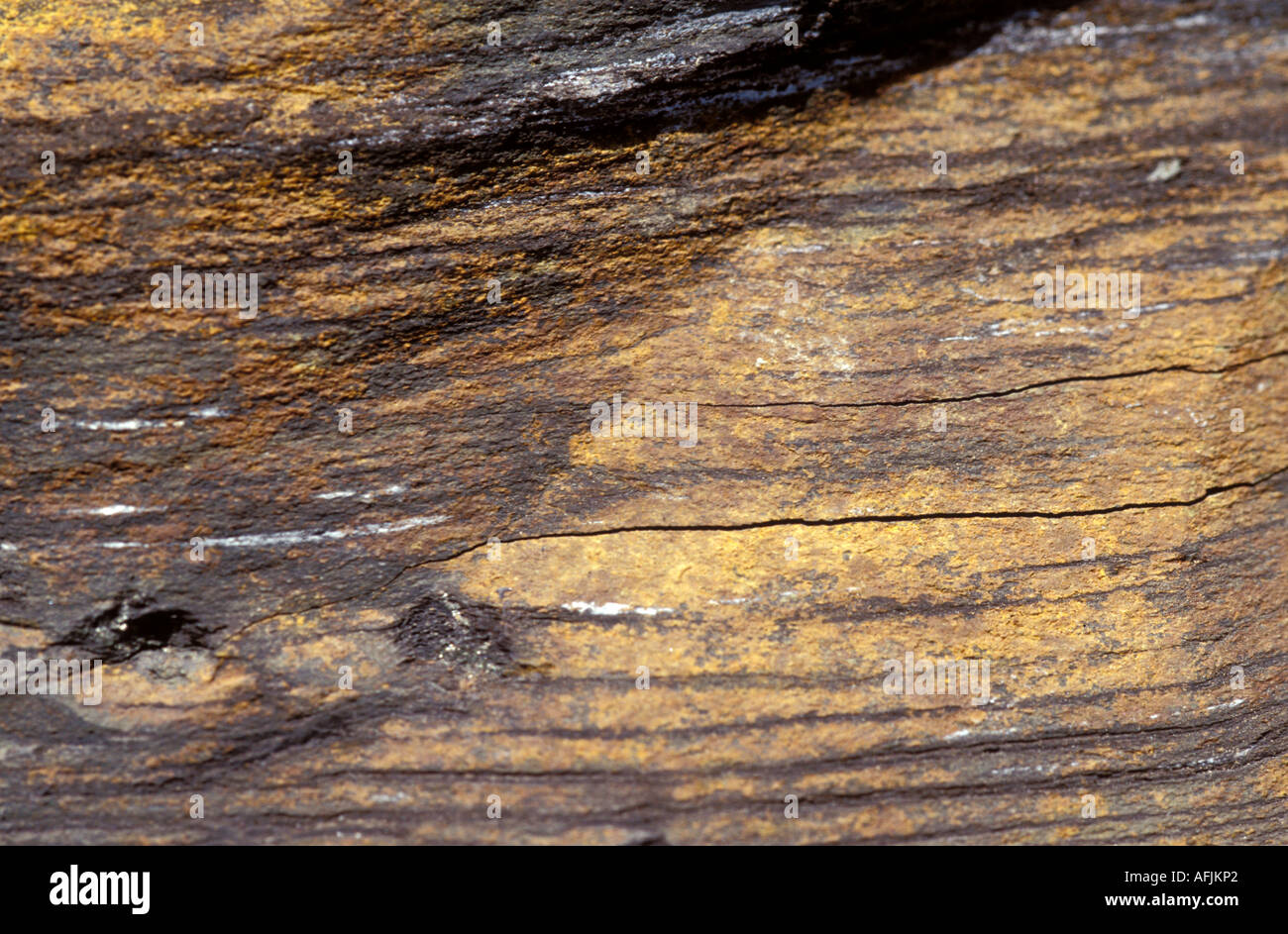 Antrim shale hi-res stock photography and images - Alamy