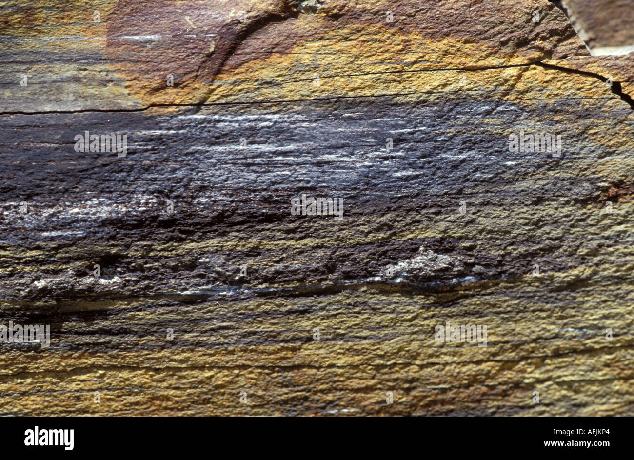 Antrim Shale cross section, Northern Michigan Basin Stock Photo - Alamy