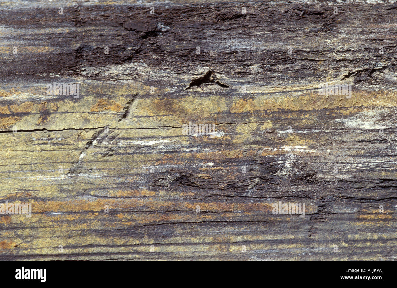 Antrim shale cross section northern hi-res stock photography and images ...