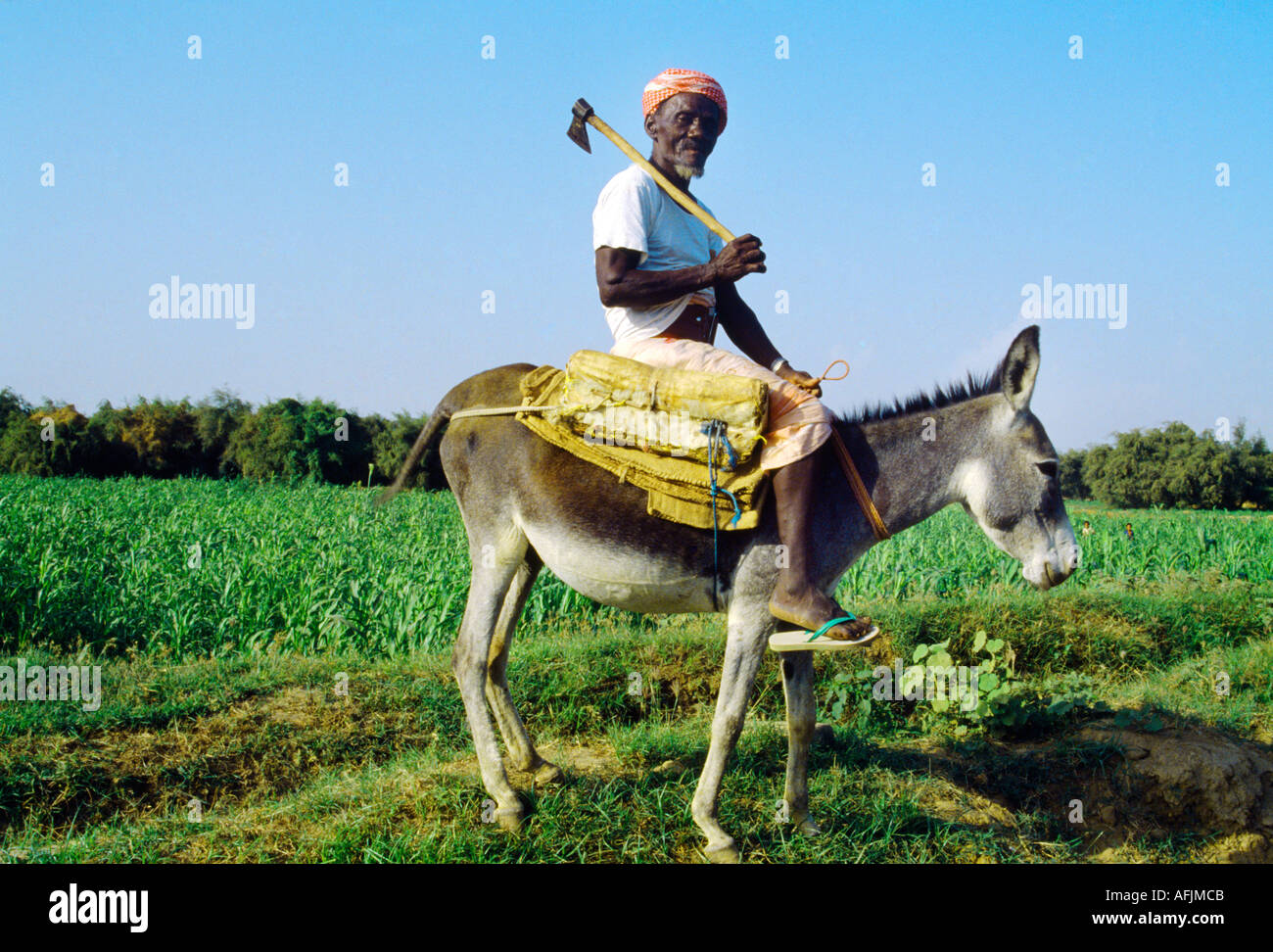Saudi arabia farmer hi-res stock photography and images - Alamy
