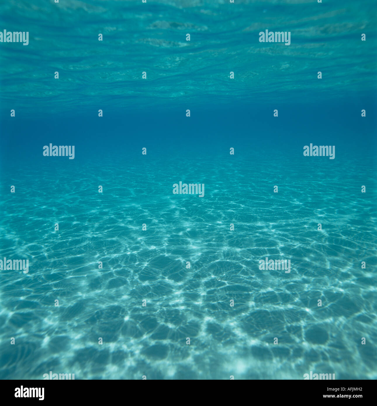 WATER SURFACE FROM UNDERWATER Stock Photo - Alamy