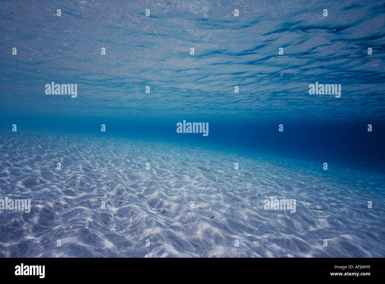 WATER SURFACE FROM UNDERWATER Stock Photo - Alamy