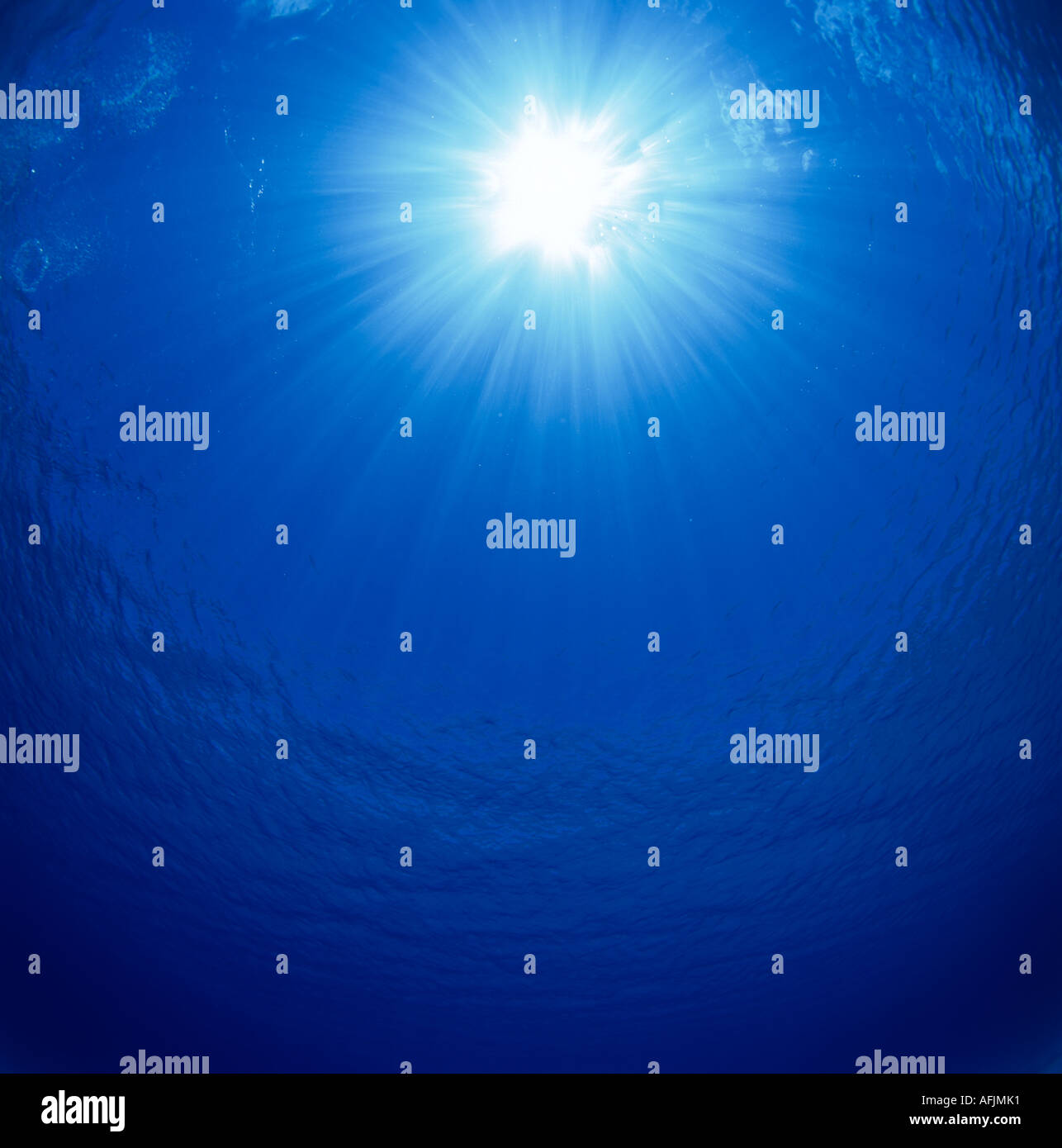 Looking up surface from underwater hi-res stock photography and images ...