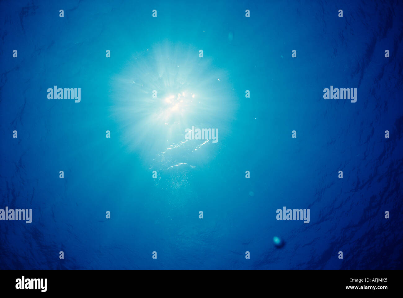 Looking up surface from underwater hi-res stock photography and images ...