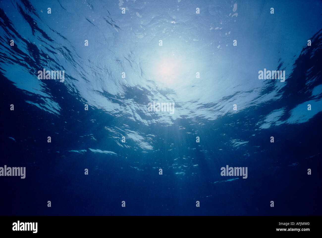 Looking up surface from underwater hi-res stock photography and images ...