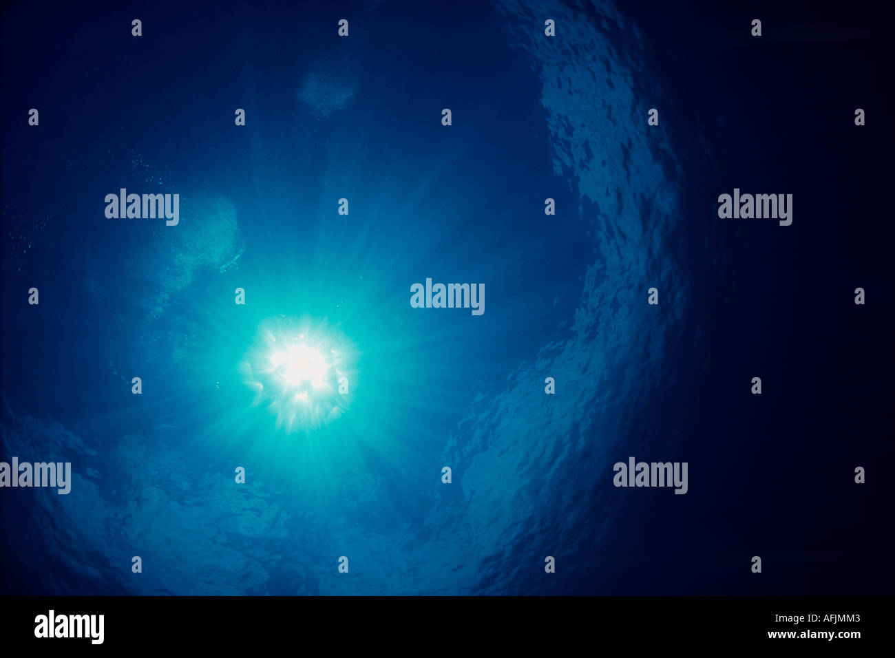 Looking up surface from underwater hi-res stock photography and images ...