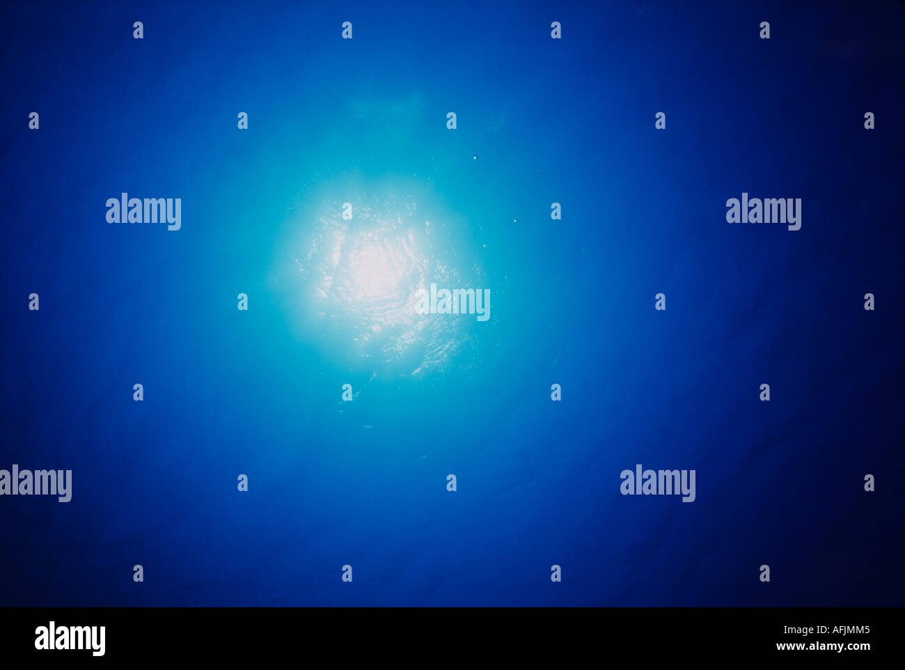 Looking up surface from underwater hi-res stock photography and images ...