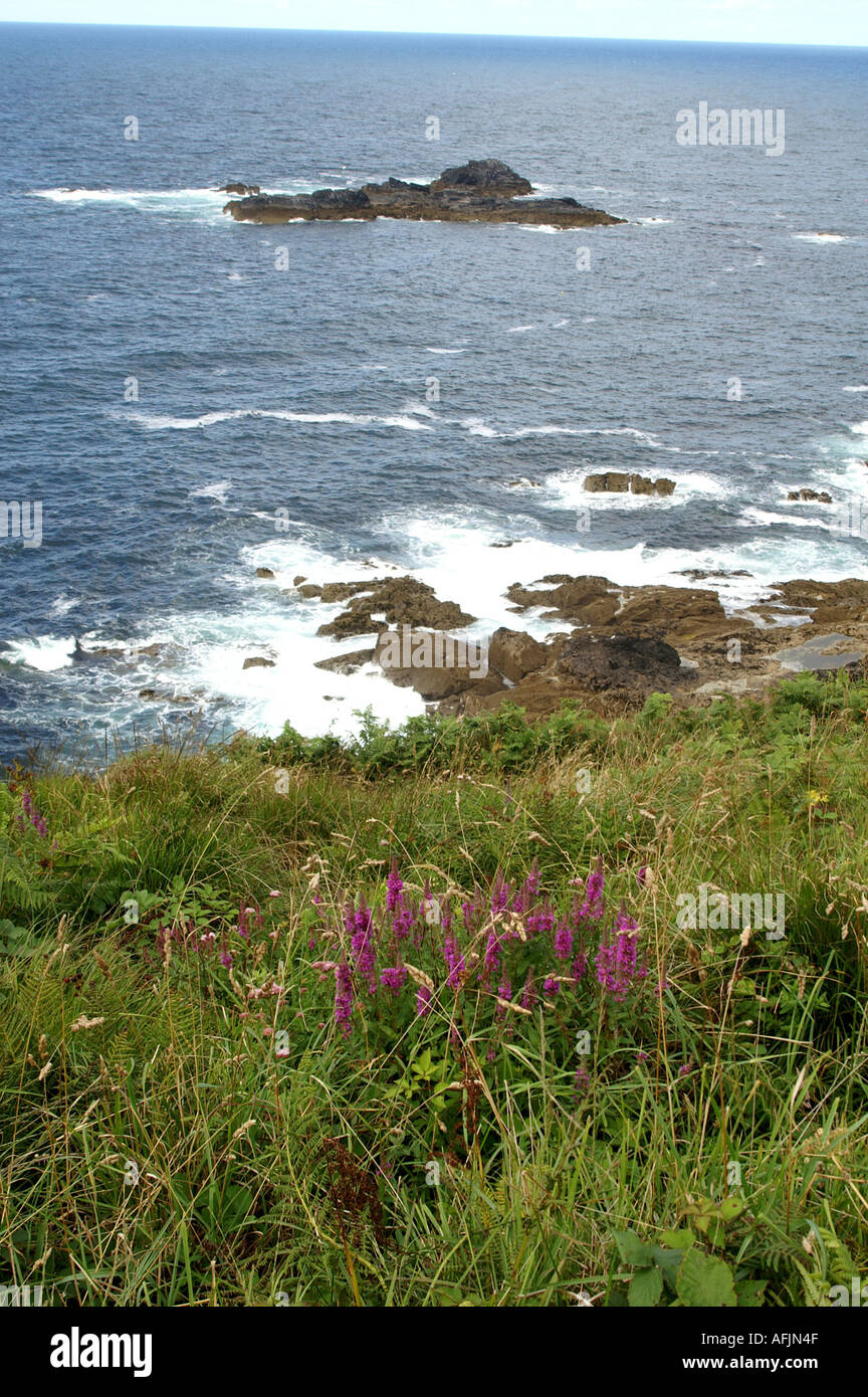 Coastline at the Carracks Penwith Cornwall Stock Photo - Alamy