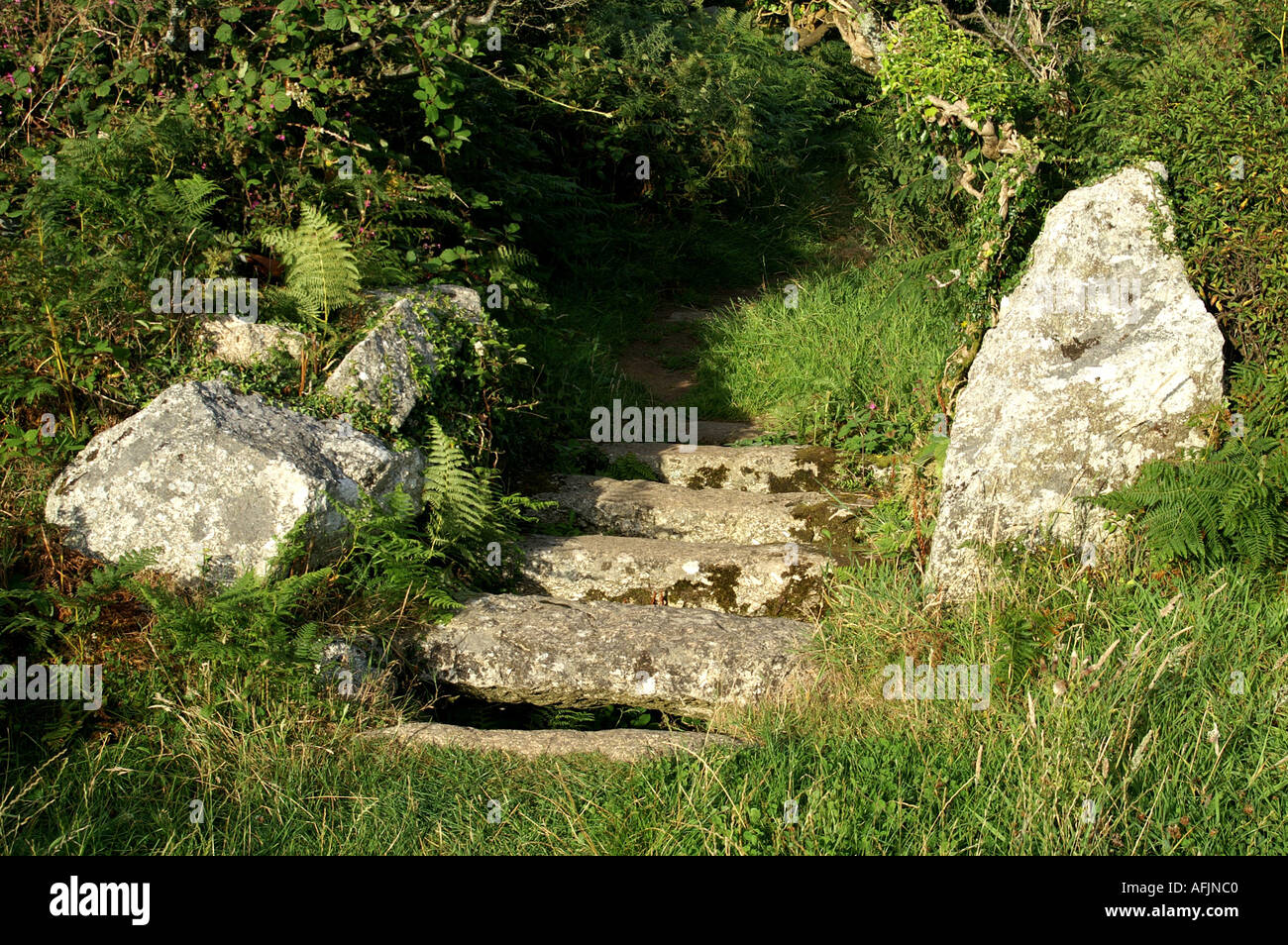 Old granite cornish stile on old coffin road Penwith Cornwall Stock ...