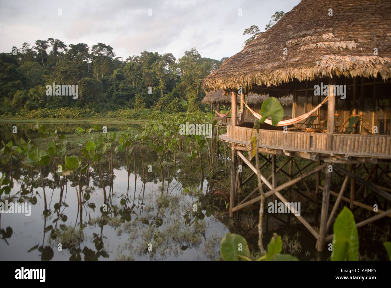 Cabins at the Kapawi Ecolodge off the Pastasa river Ecuador South ...