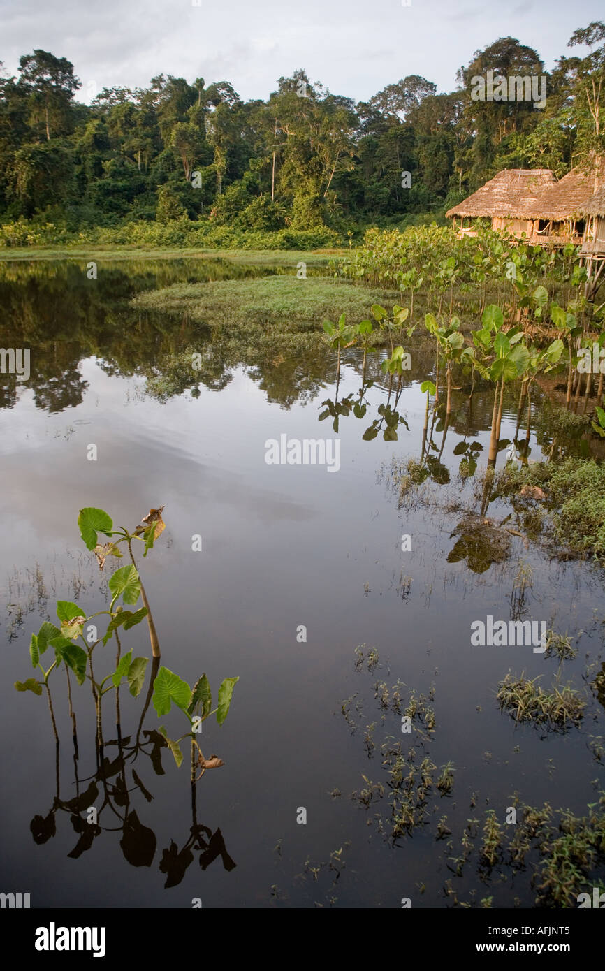 Cabins at the Kapawi Ecolodge off the Pastasa river Ecuador South ...