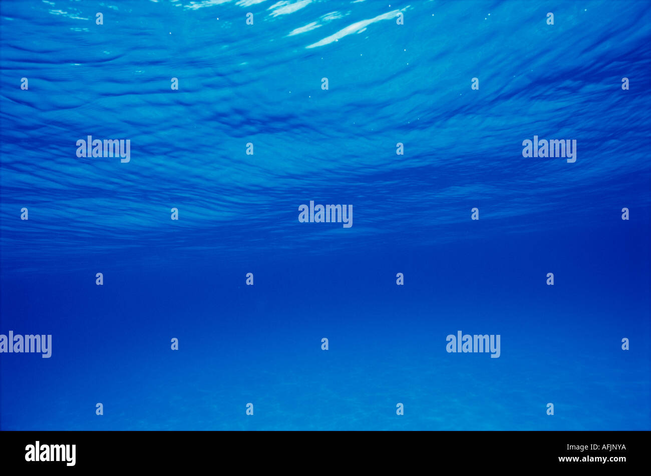 WATER SURFACE FROM UNDERWATER Stock Photo - Alamy