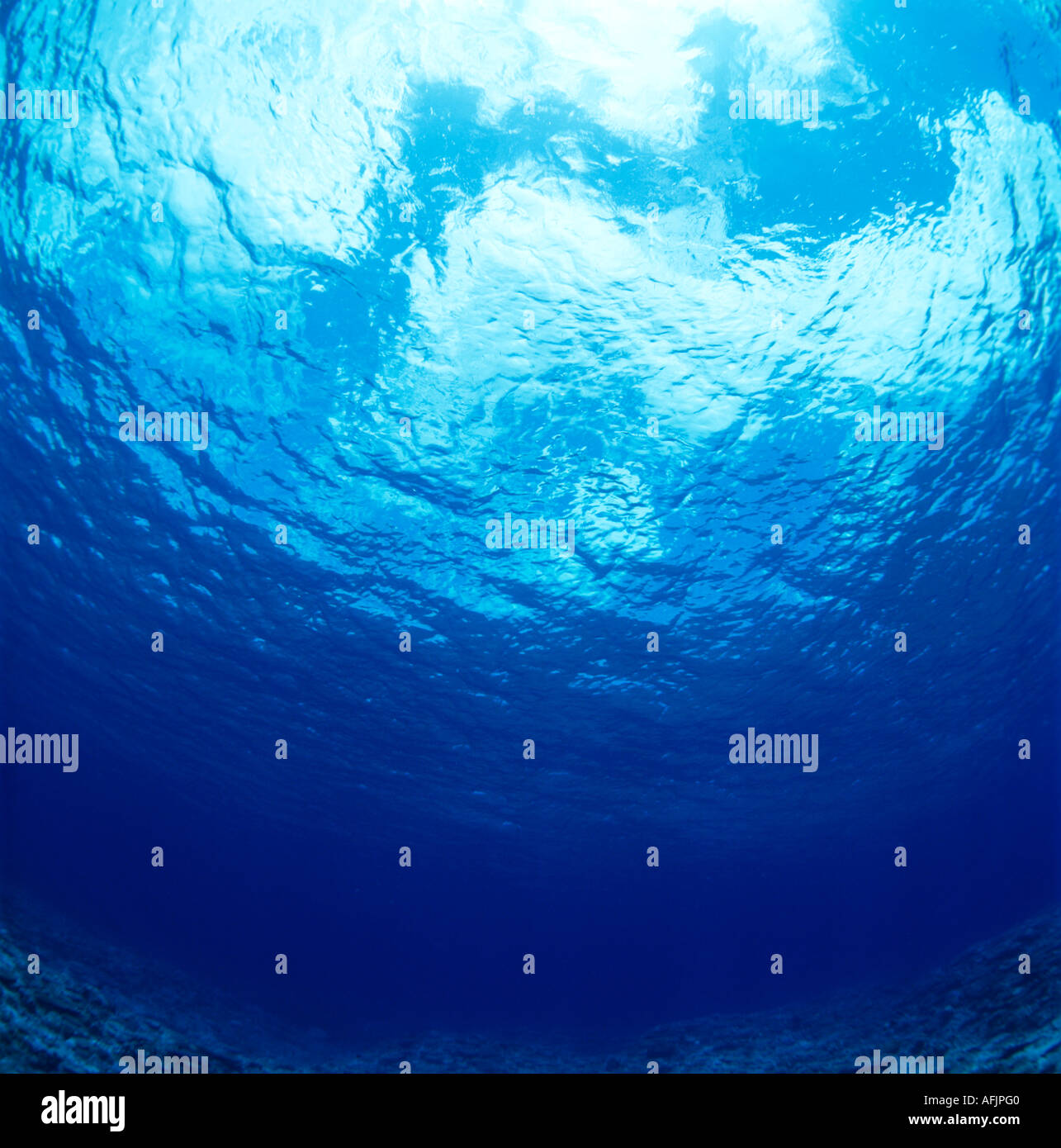 WATER SURFACE FROM UNDERWATER Stock Photo - Alamy