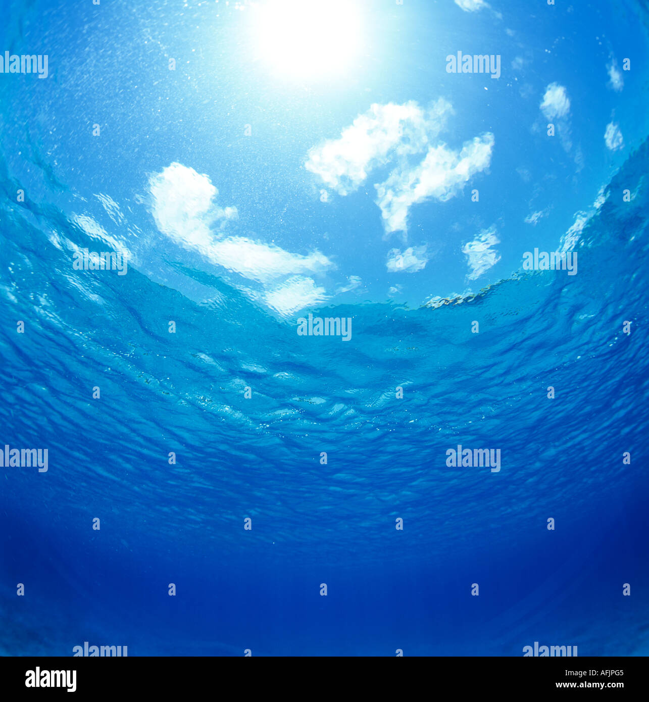 WATER SURFACE FROM UNDERWATER Stock Photo - Alamy