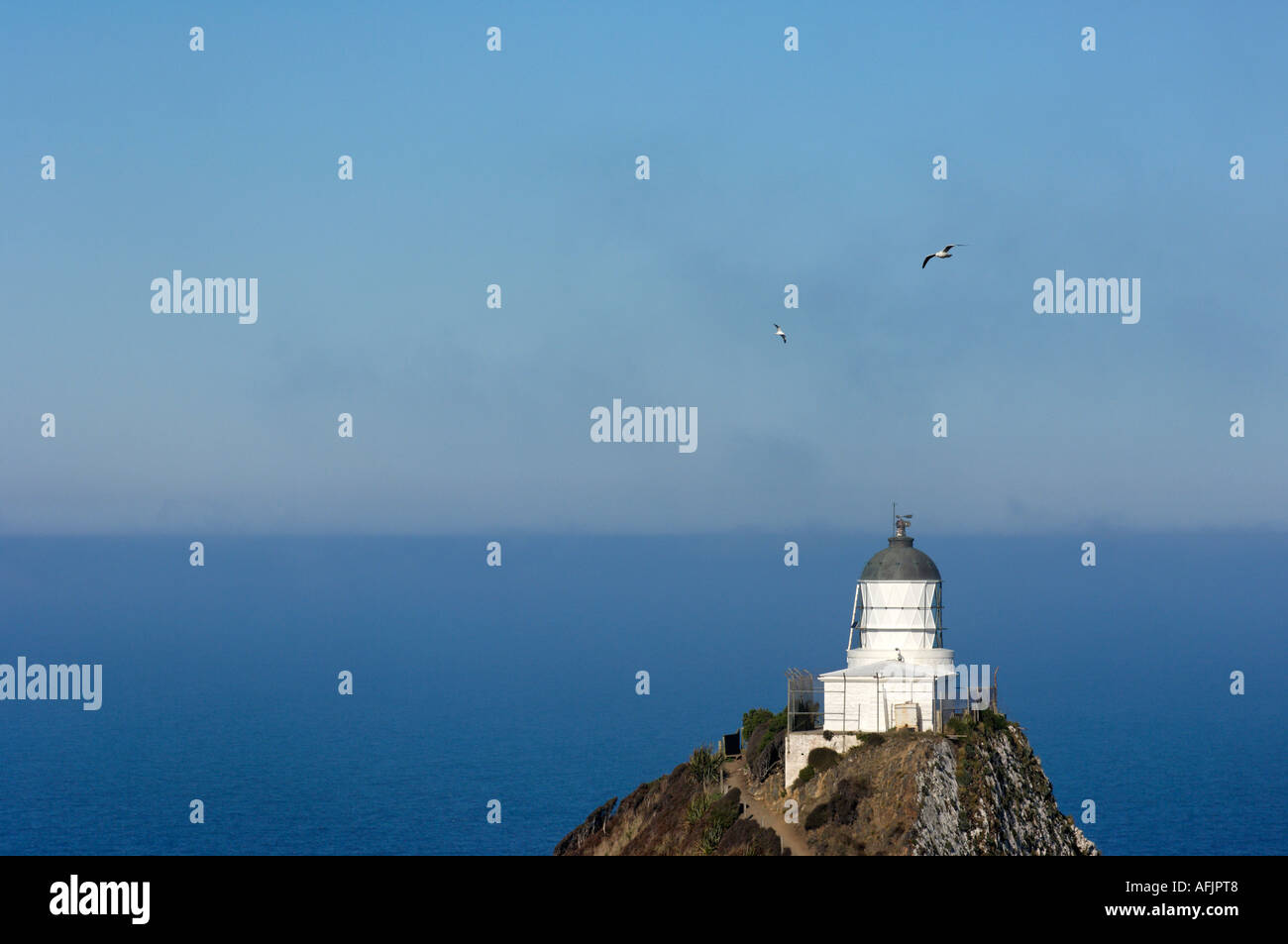 A pair of sea birds fly above an isolated lighthouse perched upon a ...