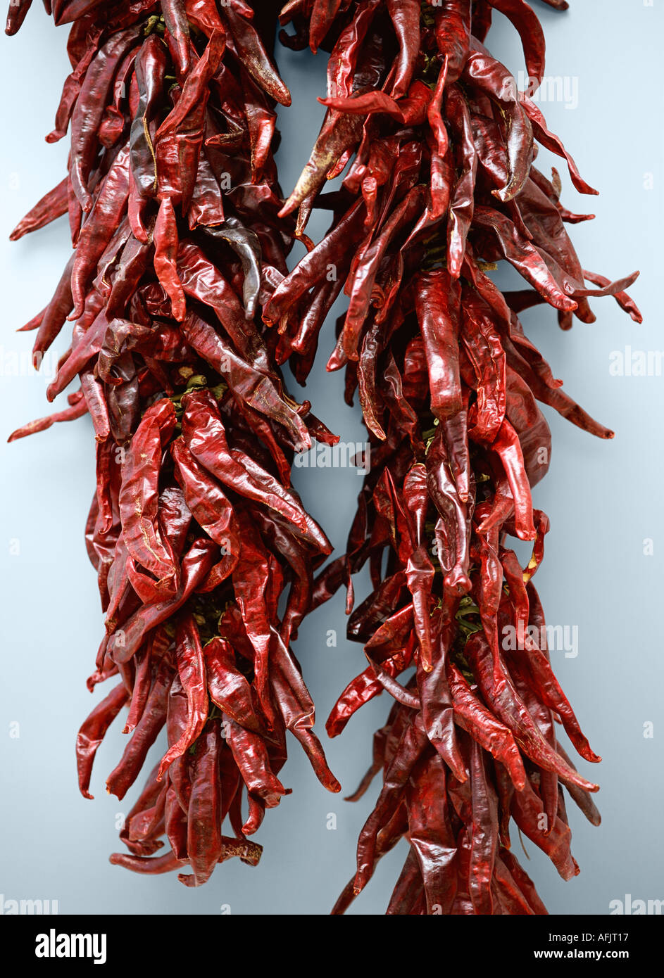 Two strings of chillies on pale blue background Stock Photo - Alamy