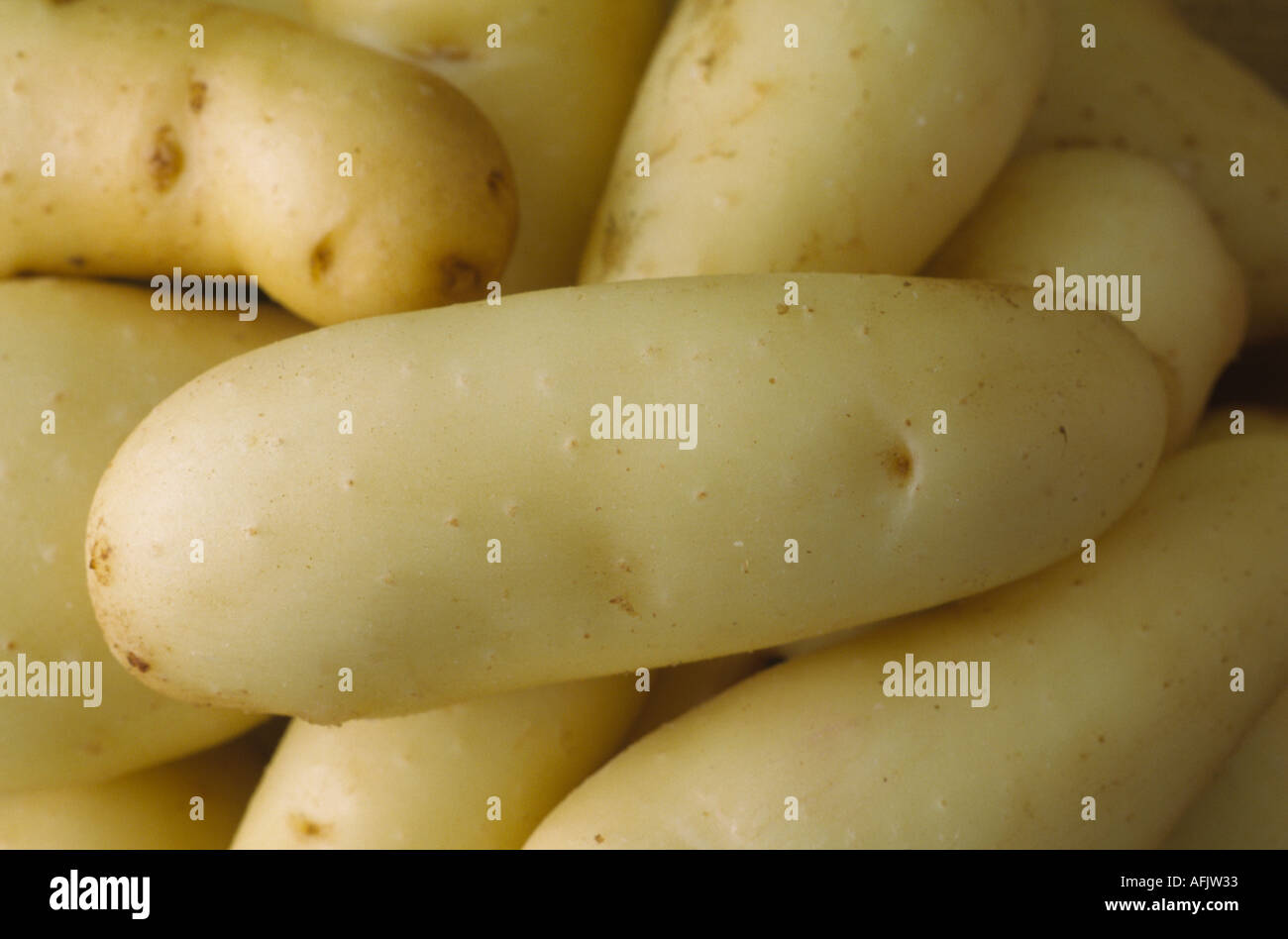 Ratte potato hi-res stock photography and images - Alamy