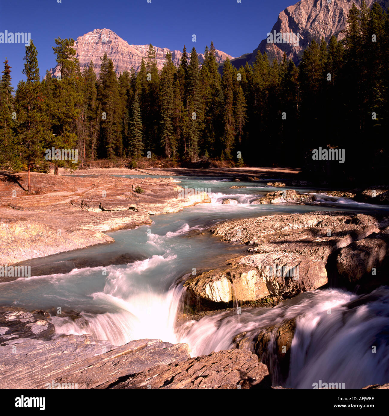 Kicking Horse River and Mt Stephen at 3199 metres high in Yoho National ...