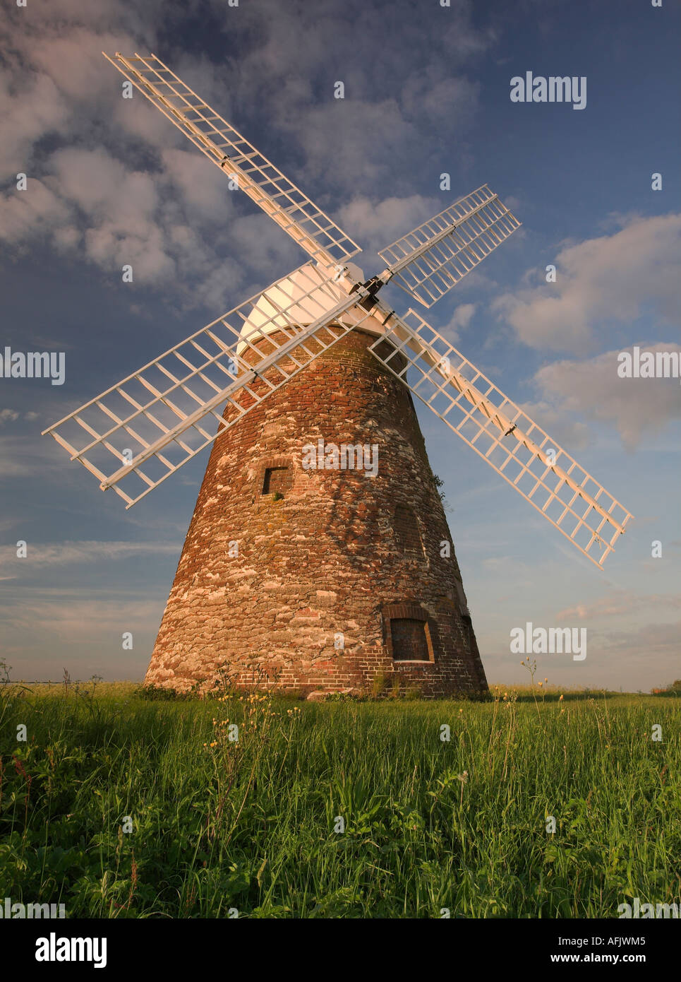 Halnaker park hi-res stock photography and images - Alamy