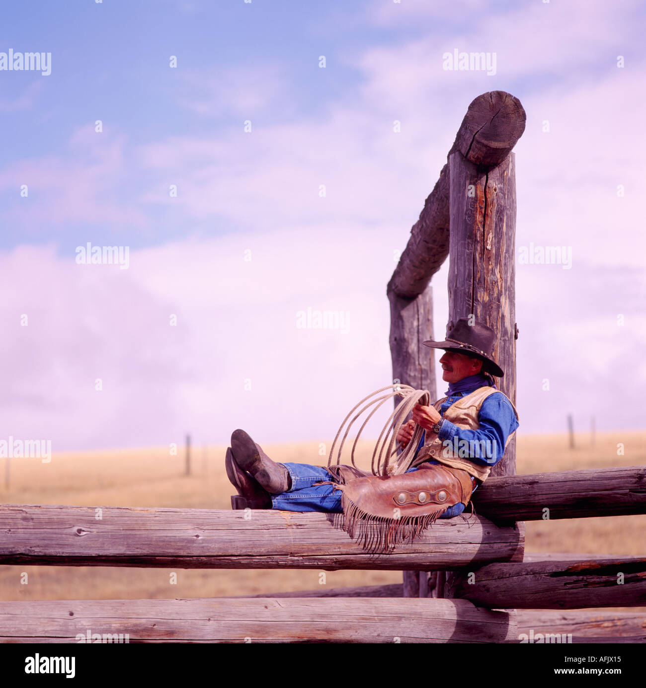 Lassoo hi-res stock photography and images - Alamy