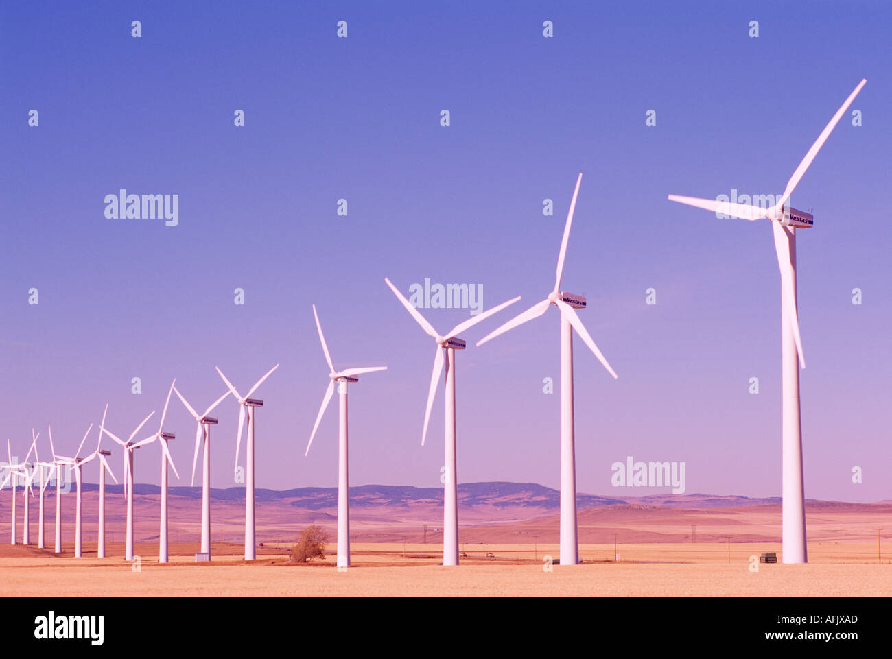 Windmill in southern alberta hi-res stock photography and images - Alamy