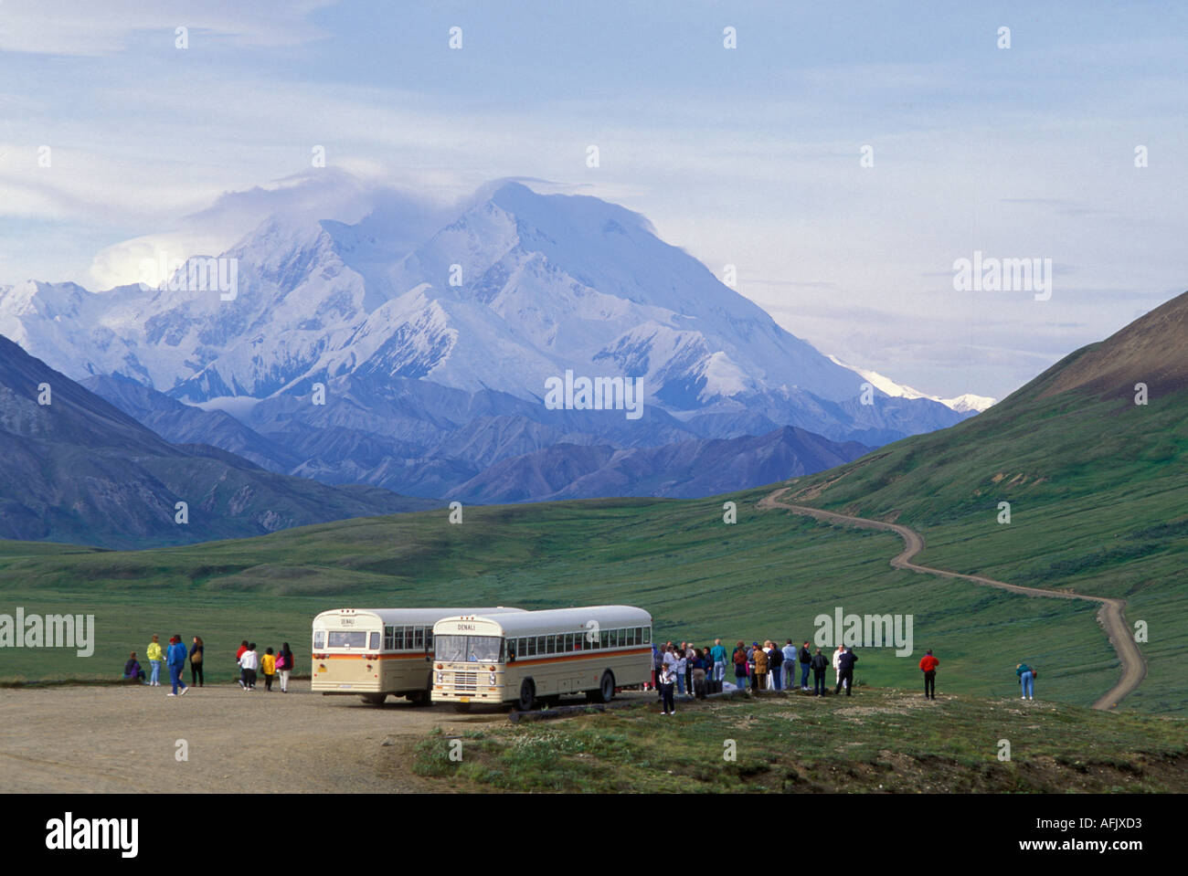 Tour bus on denali park hi-res stock photography and images - Alamy