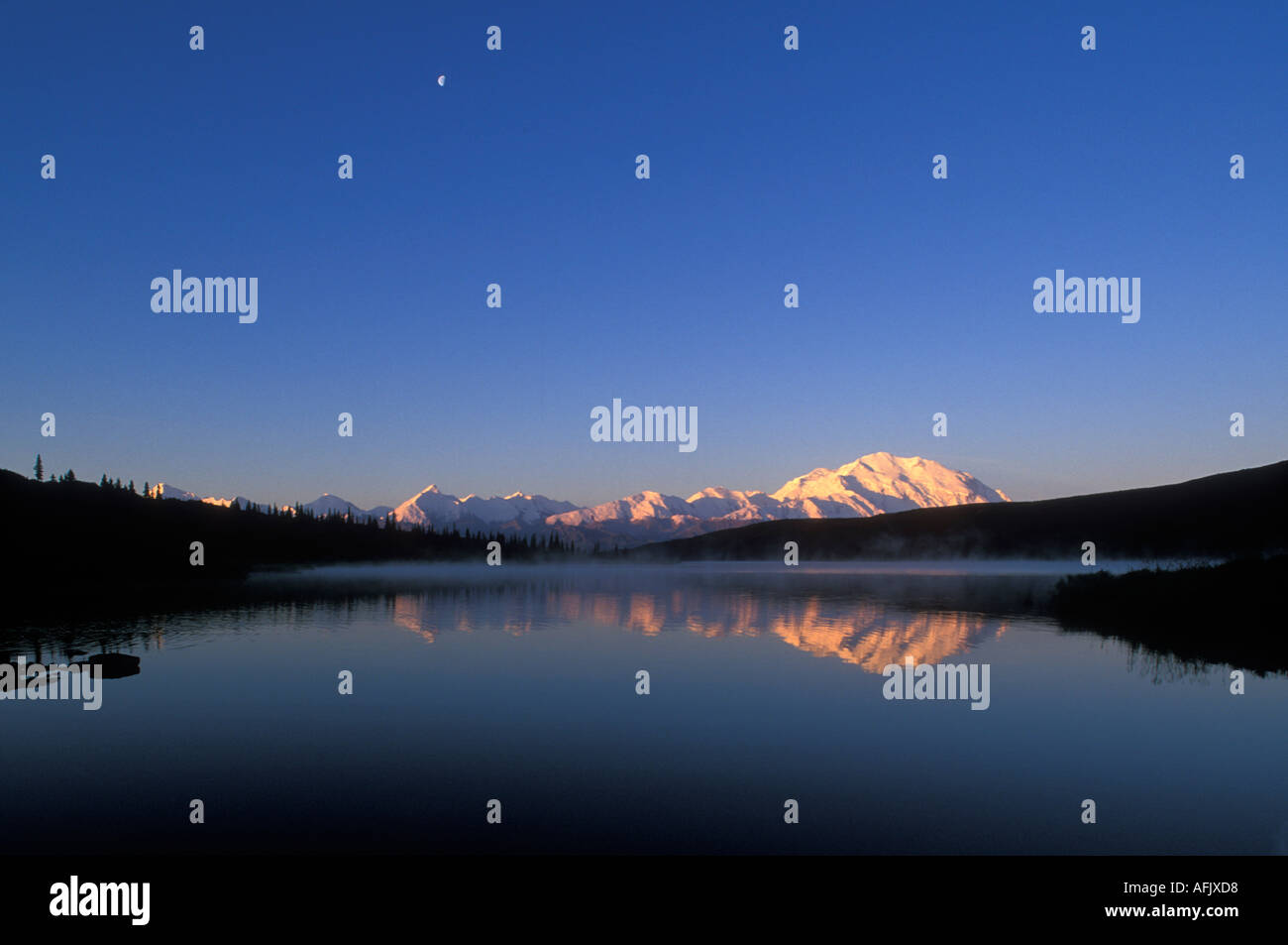 USA Alaska Denali National Park Dawn lights gibbous moon above Mount ...