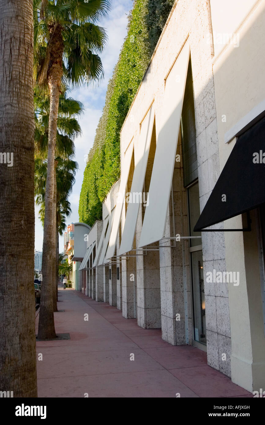 Palm trees along a building near miami beach Stock Photo - Alamy