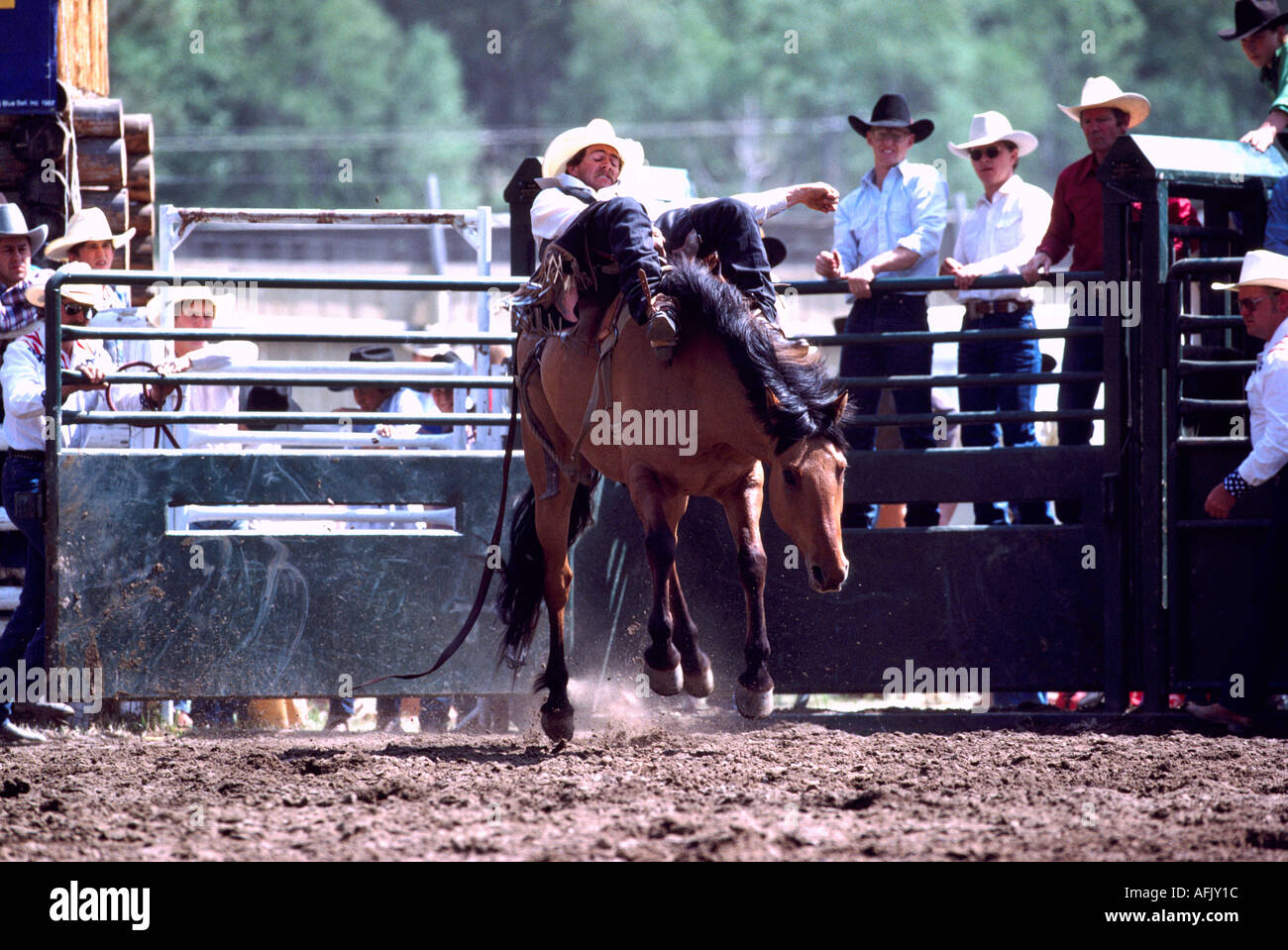 Bareback Riding at the Chopaka Rodeo in the Town of Cawston in the ...