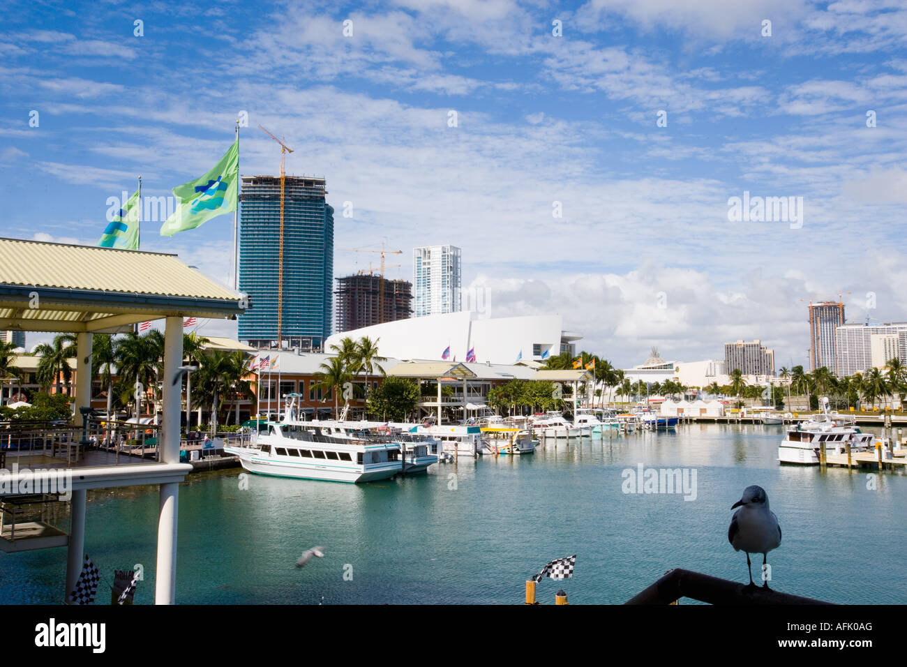 Bayfront Harbor in Miami, Florida, USA Stock Photo - Alamy