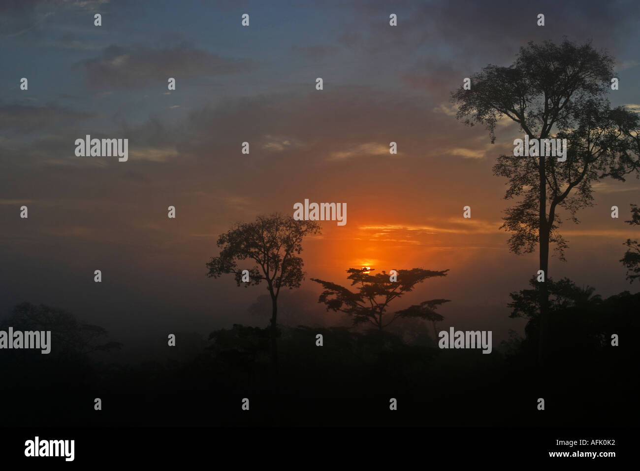 Sunset or sunrise over African Tropical Rainforest, Ghana, West Africa ...