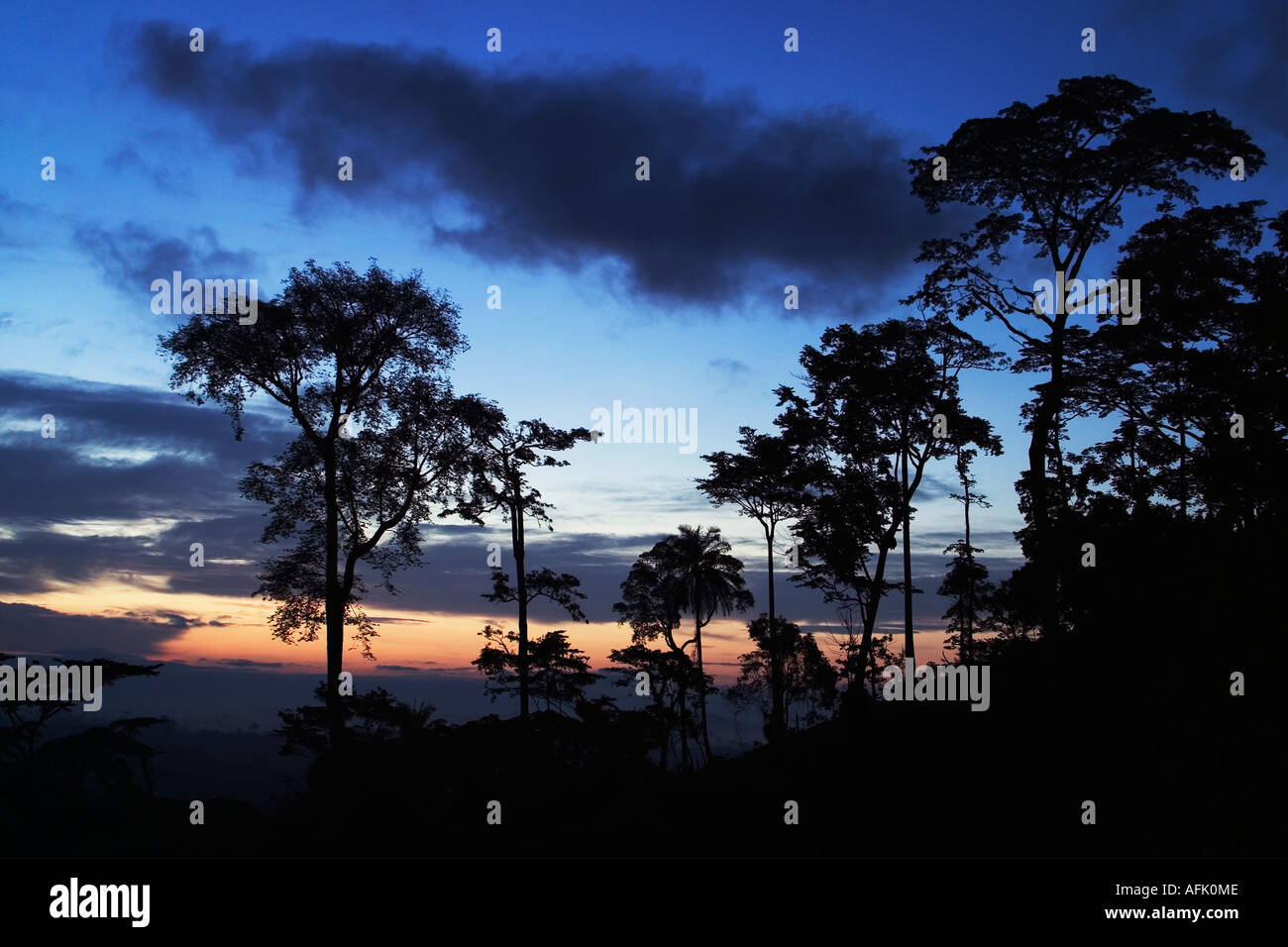 Dawn over African Tropical Rainforest with mist clearing, Ghana, West ...