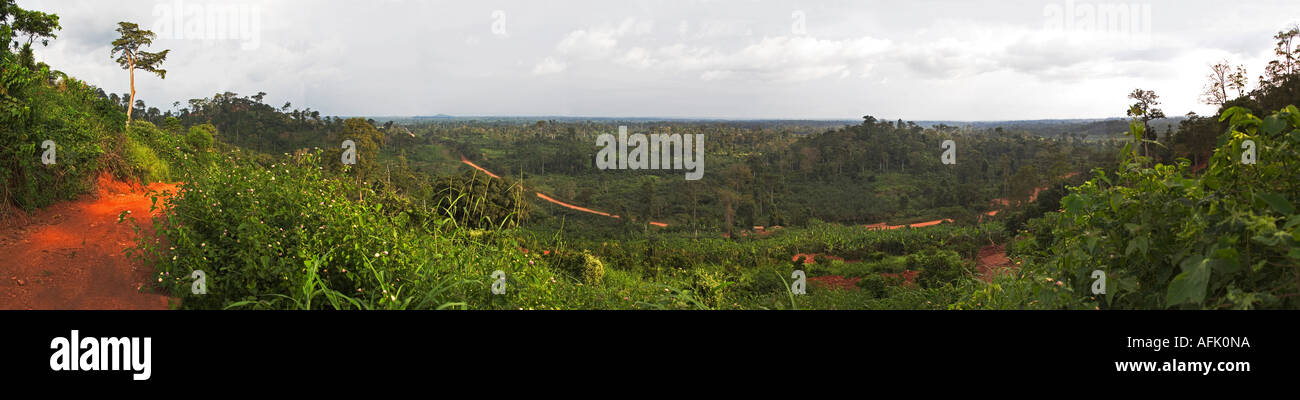 African Bush and Tropical Rainforest, Ghana, West Africa Stock Photo ...