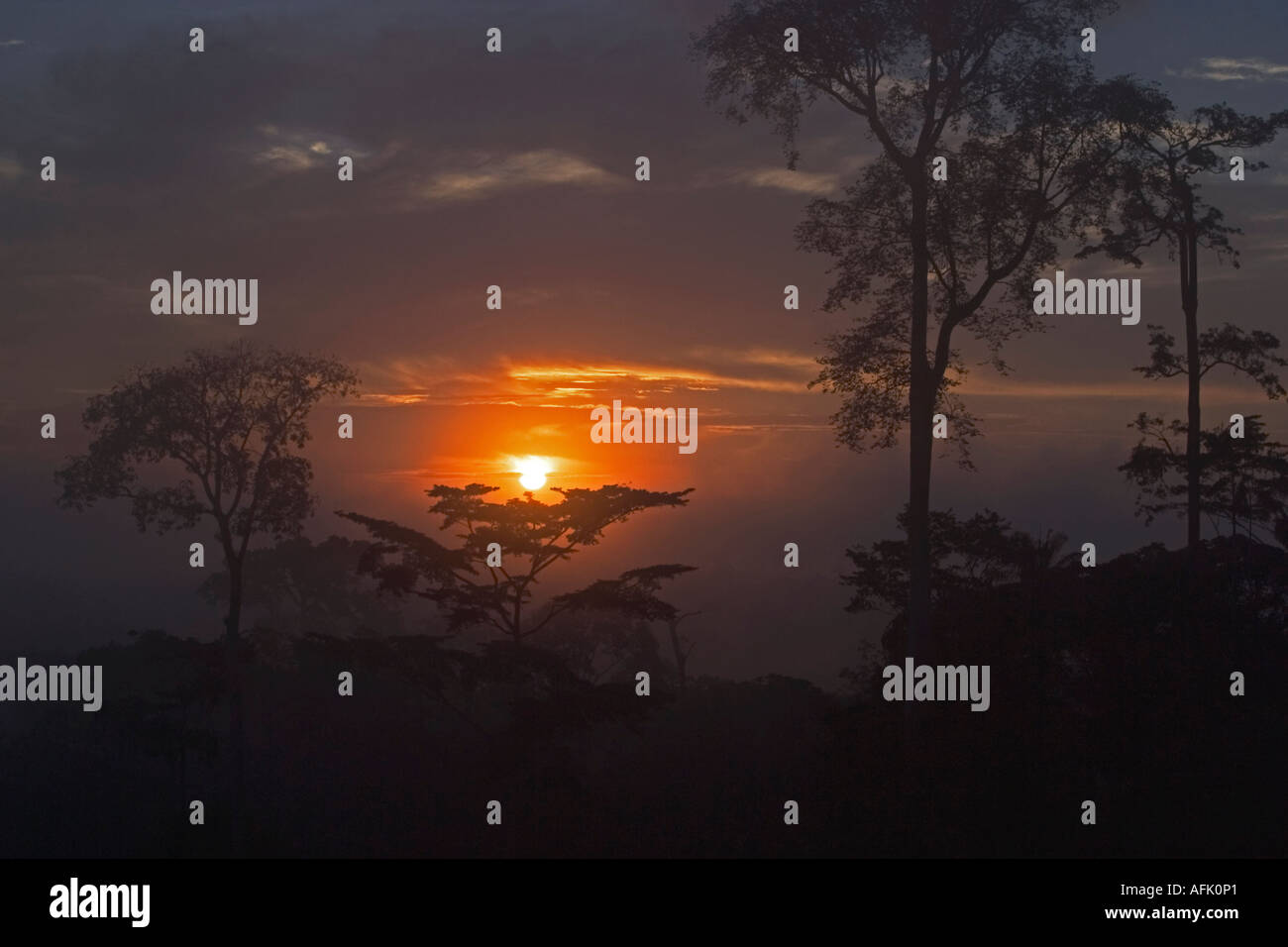 Sunset or sunrise over African Tropical Rainforest, Ghana, West Africa ...