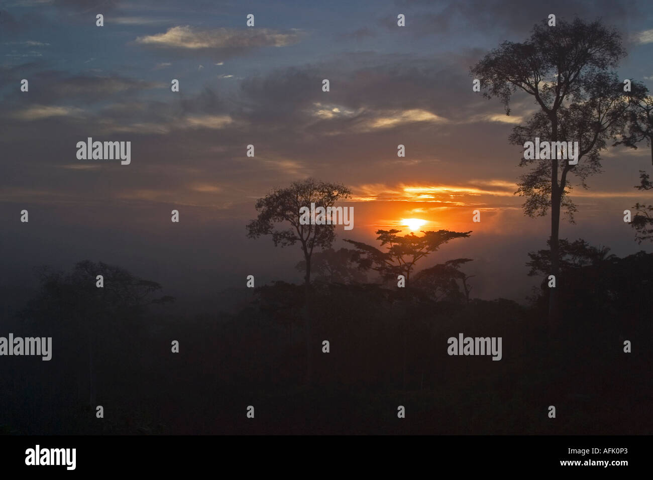 Sunset or sunrise over African Tropical Rainforest, Ghana, West Africa ...