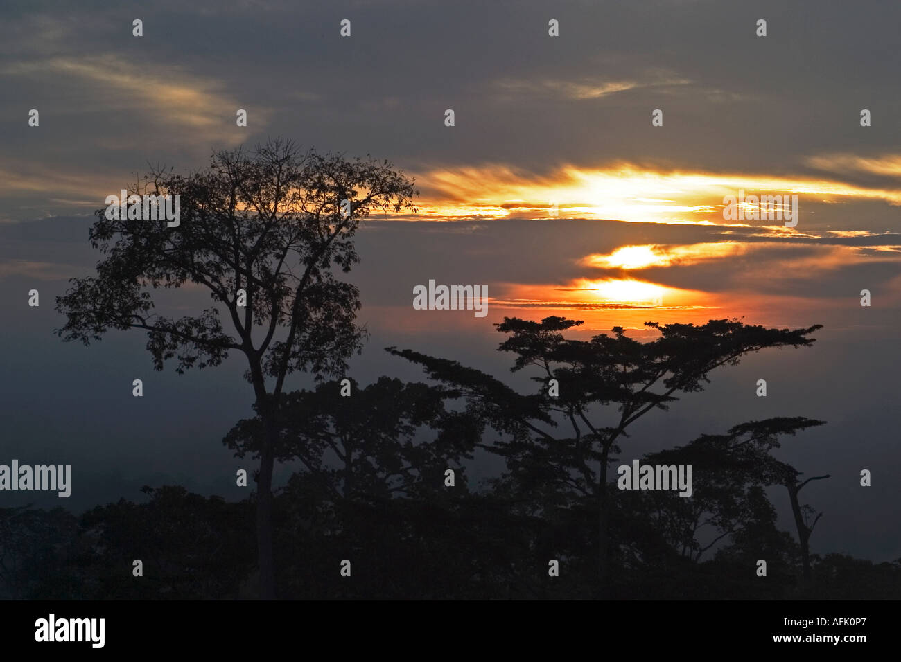 Sunset or sunrise over African Tropical Rainforest, Ghana, West Africa ...