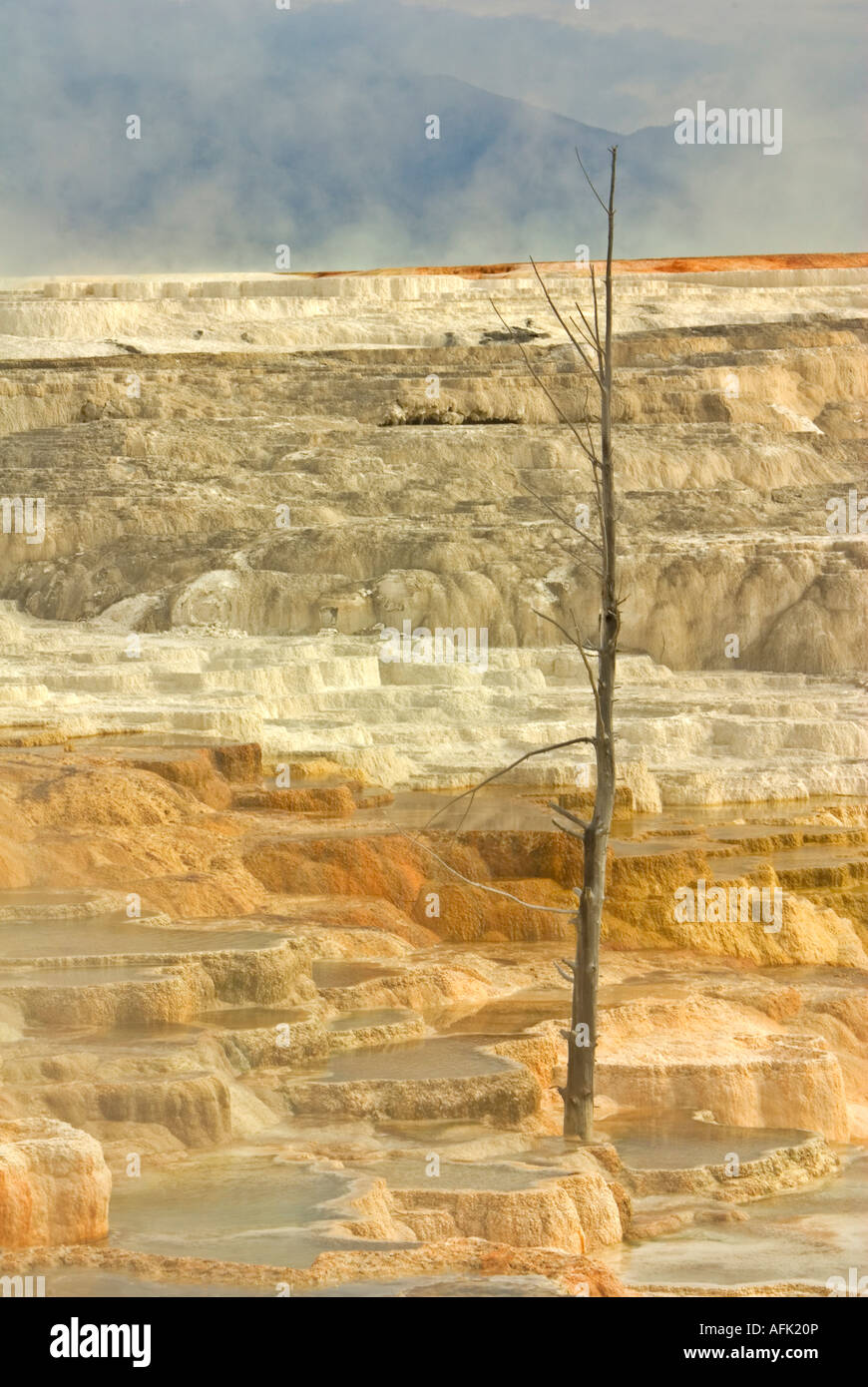 Mommoth Hot Springs YellowStone National Park terraces made of ...