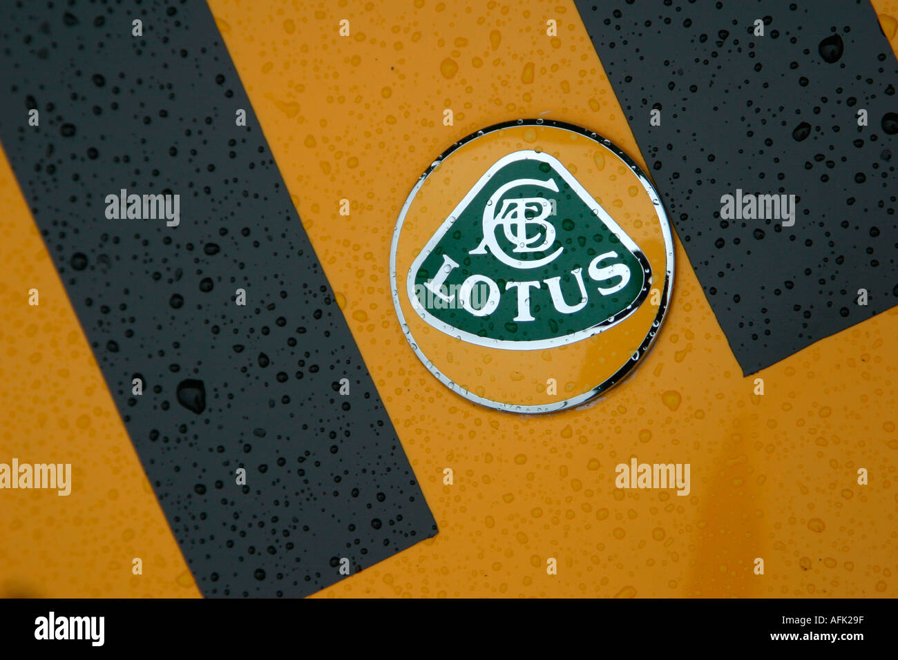 classic lotus car badge on traditional yellow and green paint work ...