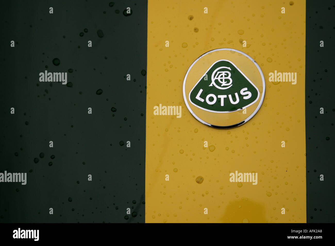 classic lotus car badge on traditional yellow and green paint work ...