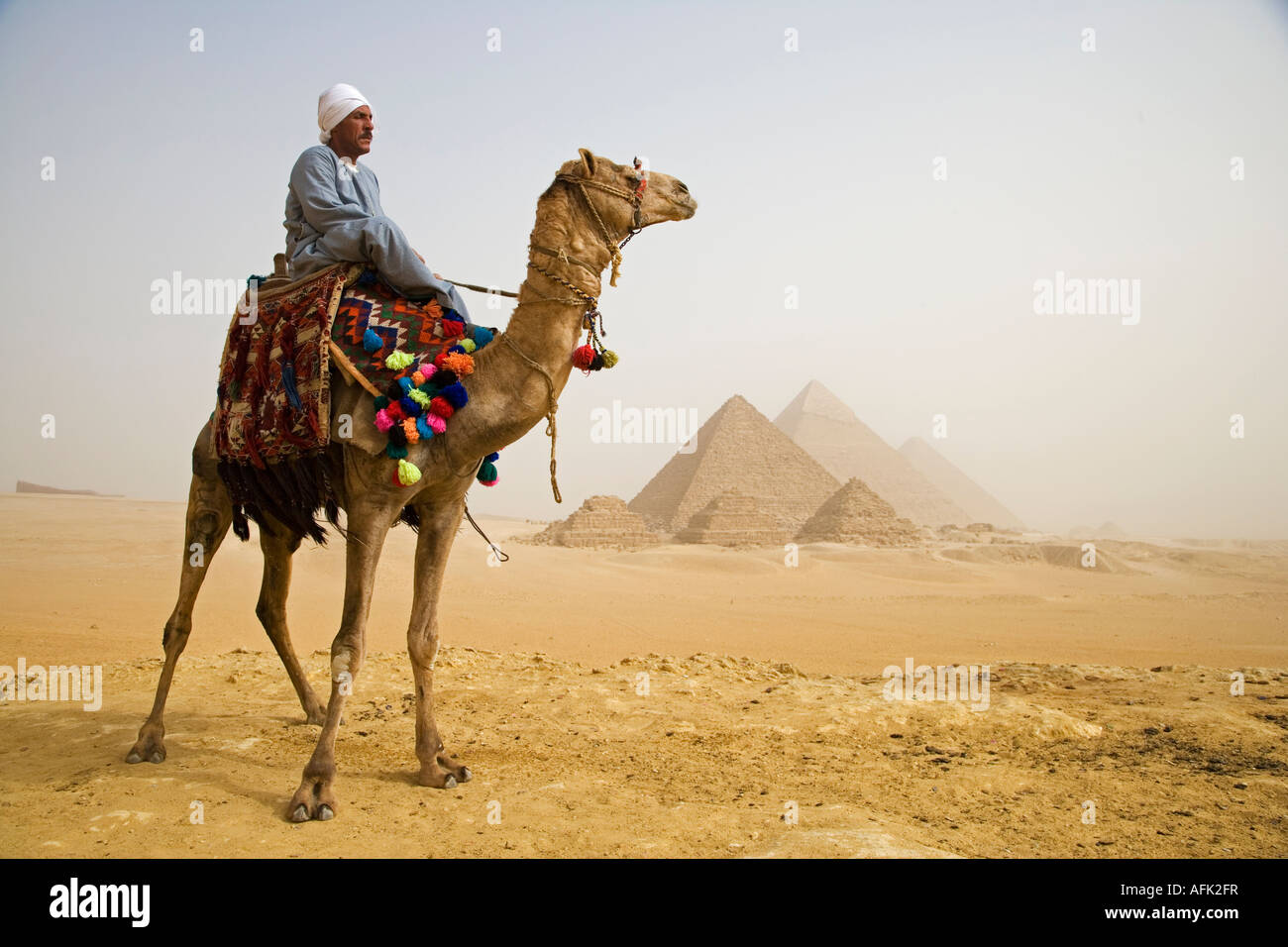 A camel driver stands in front of the pyramids at Giza, Egypt. (MR ...