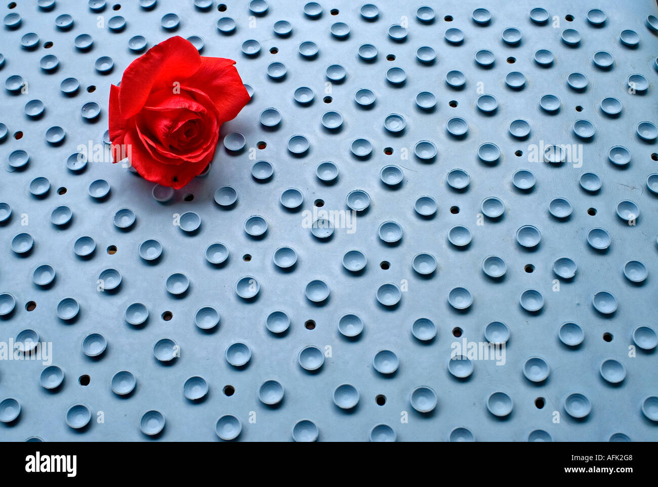 Geometric red rose pattern hi-res stock photography and images - Alamy