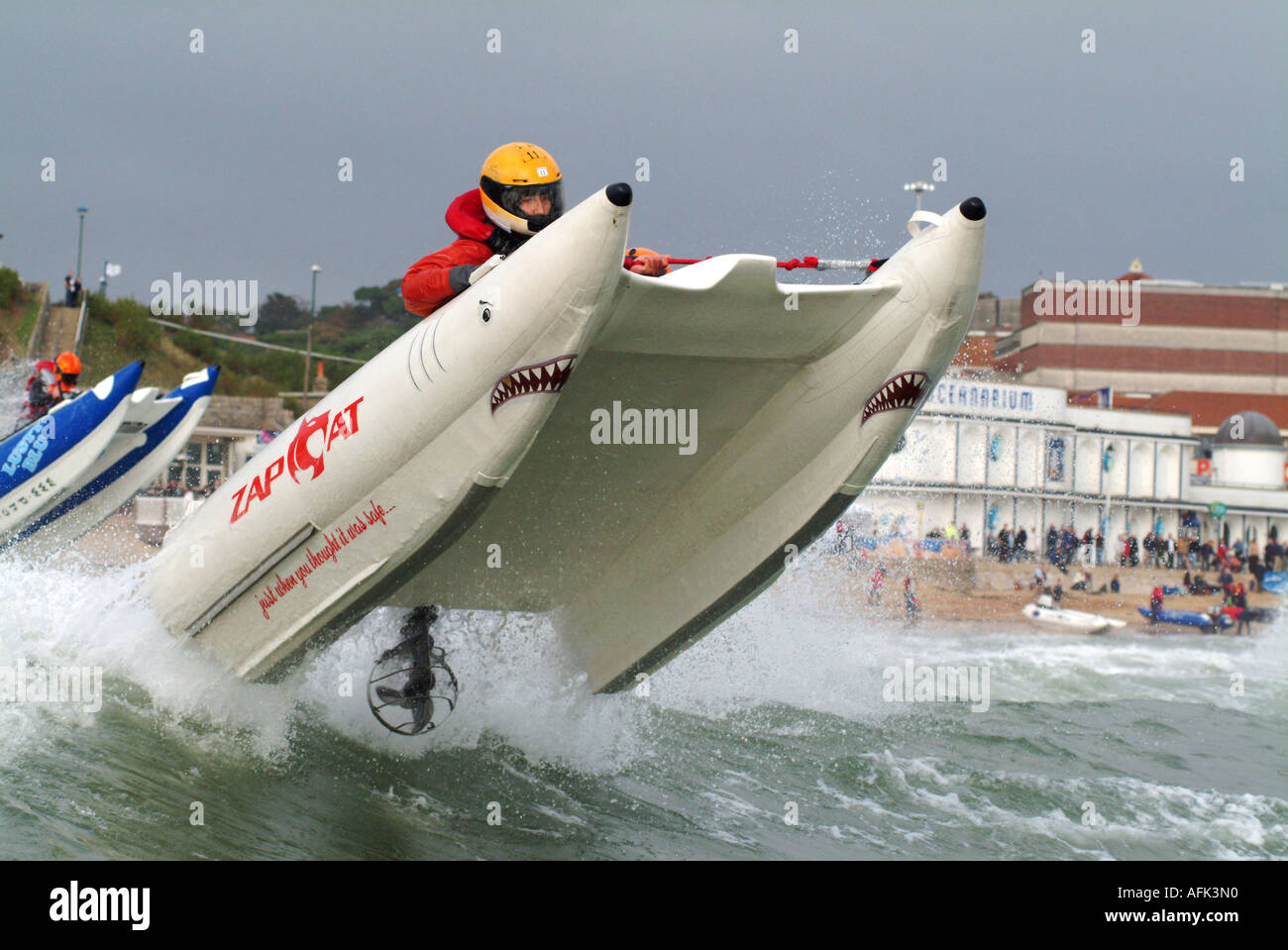 mans best friend Stock Photo - Alamy