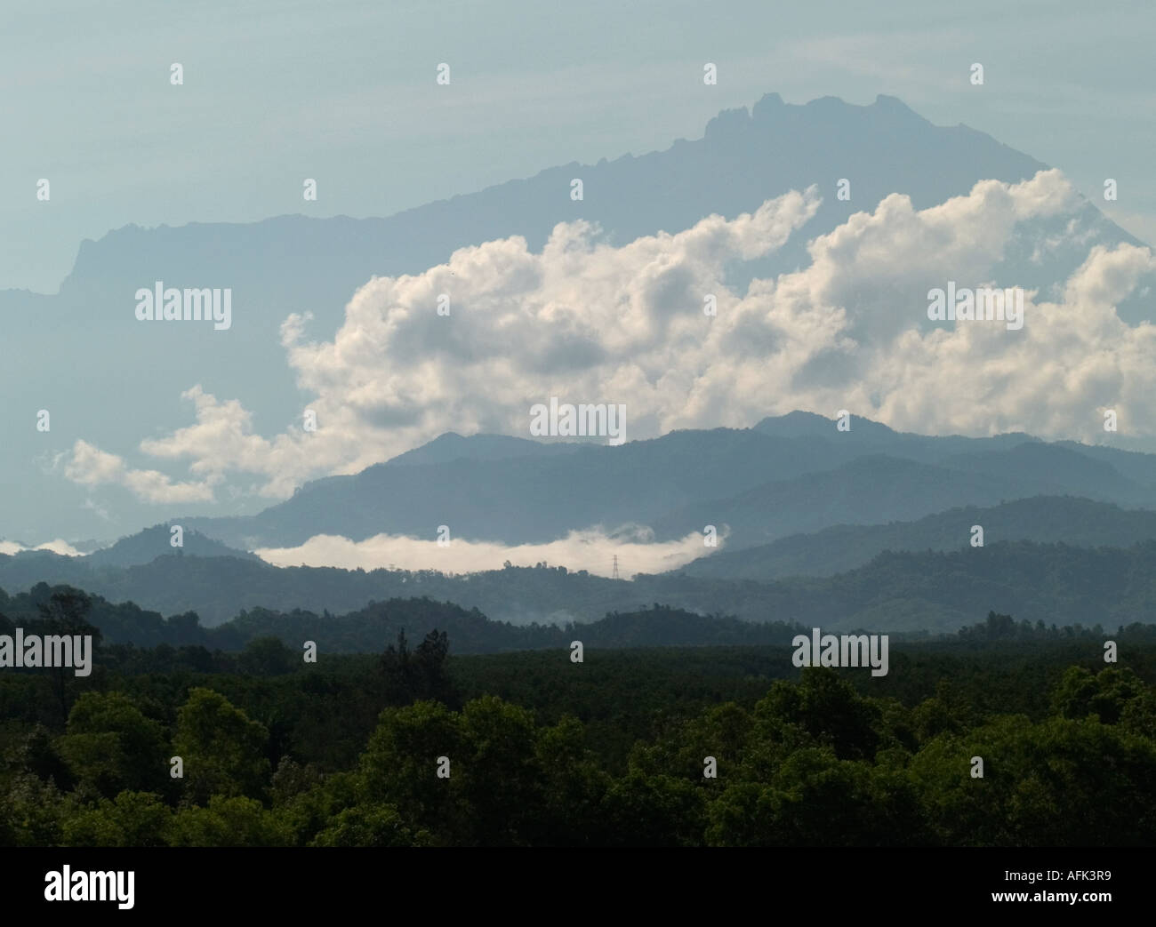 JUNGLE AND CLOUDS WITH MOUNT KINABALU IN BACKGROUND, SABAH, MALAYSIA ...