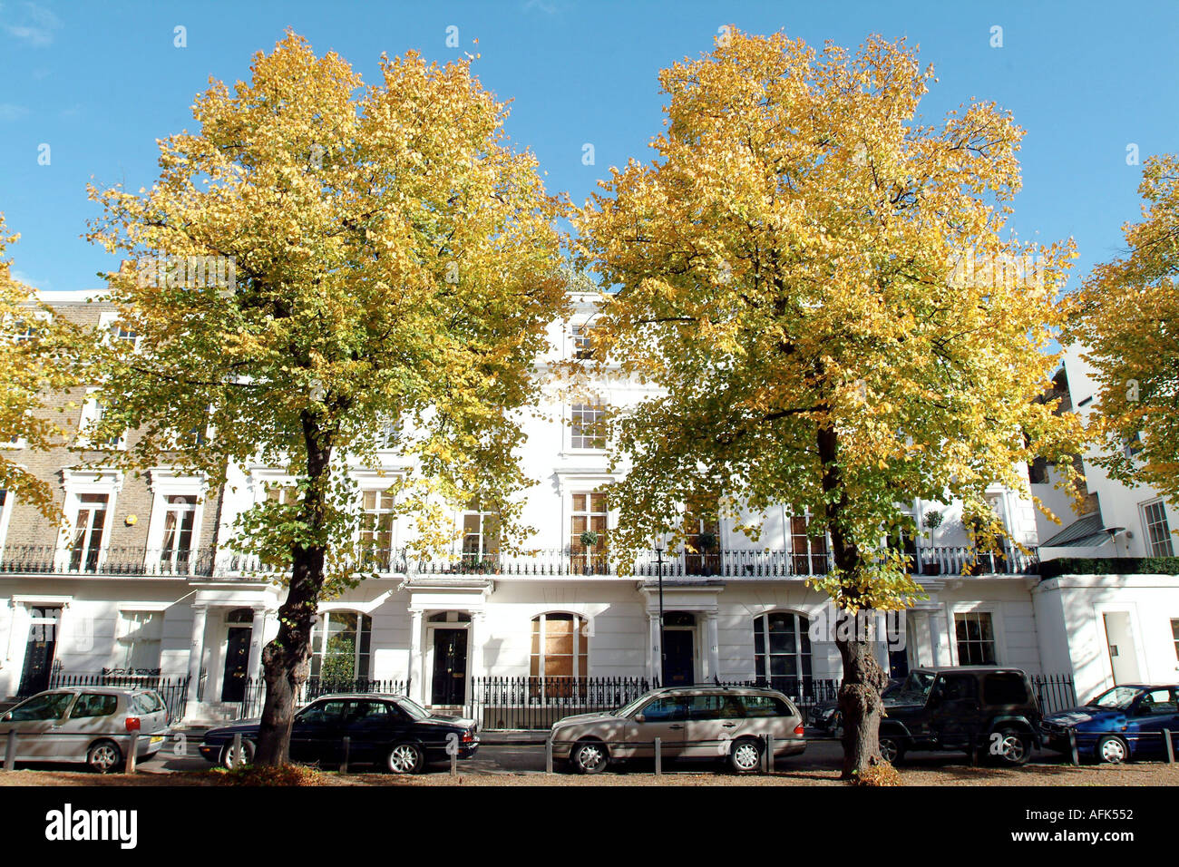 Park and trees Chelsea London Stock Photo - Alamy