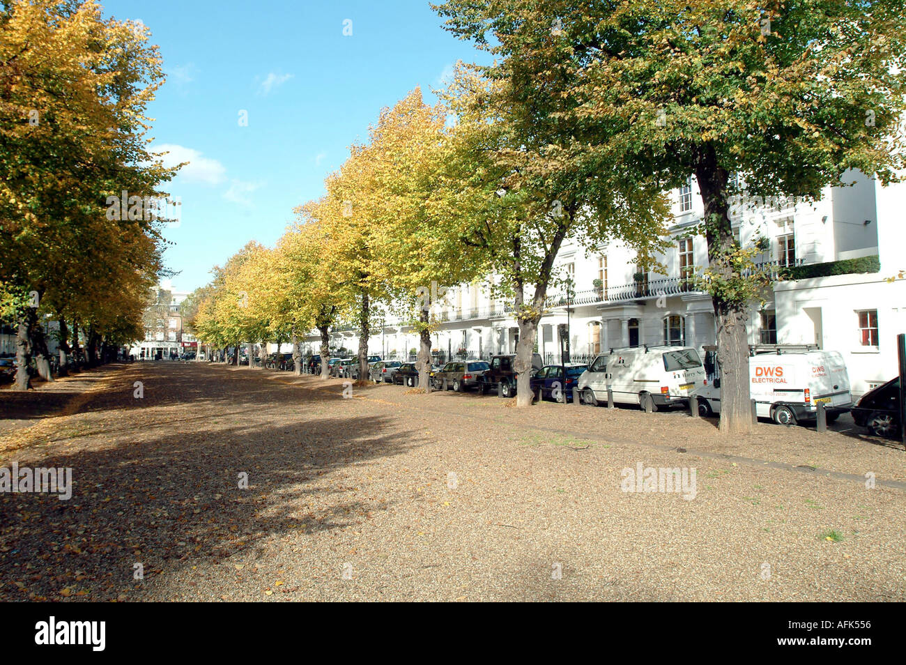 Park and trees Chelsea London Stock Photo - Alamy