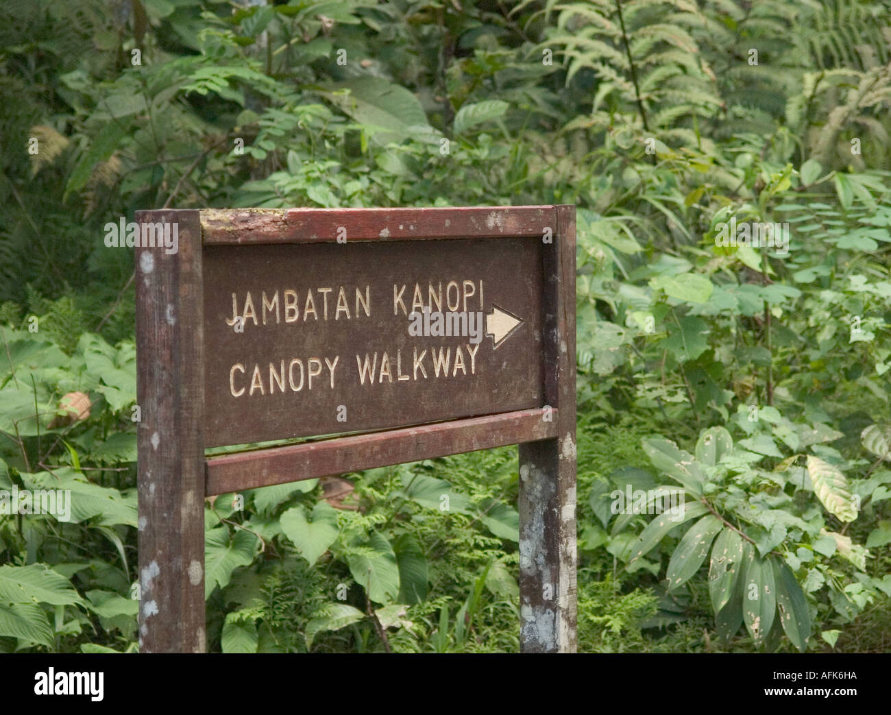 WOODEN CANOPY WALKWAY SIGN, PORING HOT SPRING, SABAH, MALAYSIA Stock ...