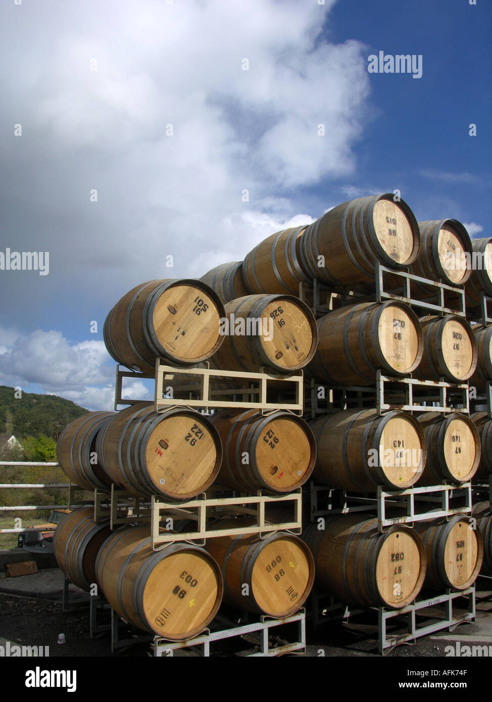 Jodie dry hi-res stock photography and images - Alamy