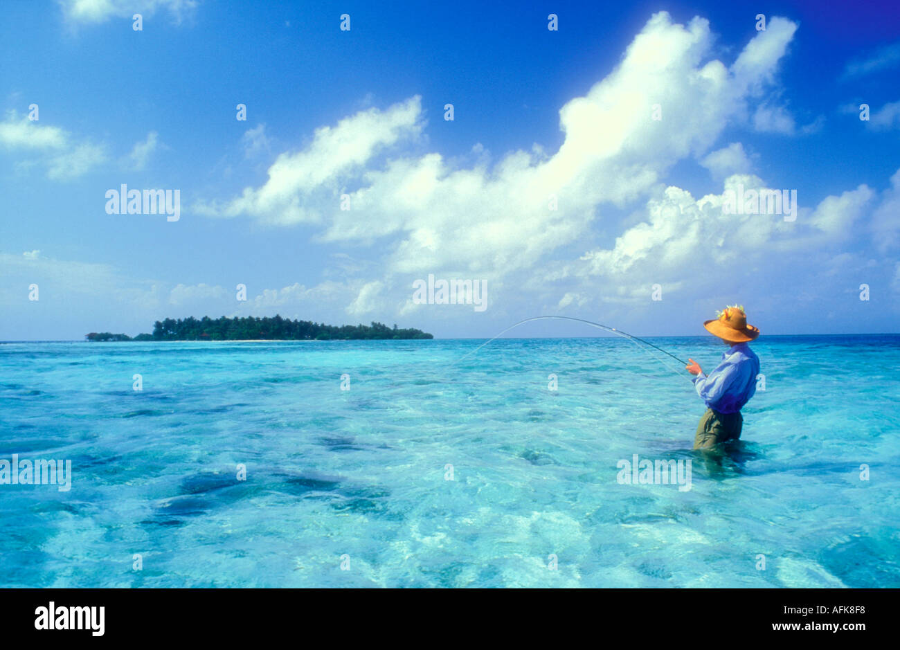 Man fly fishing in shallow water in Belize Caribbean Model Released ...
