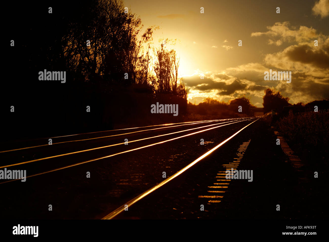 Railway track at Sunset Stock Photo - Alamy
