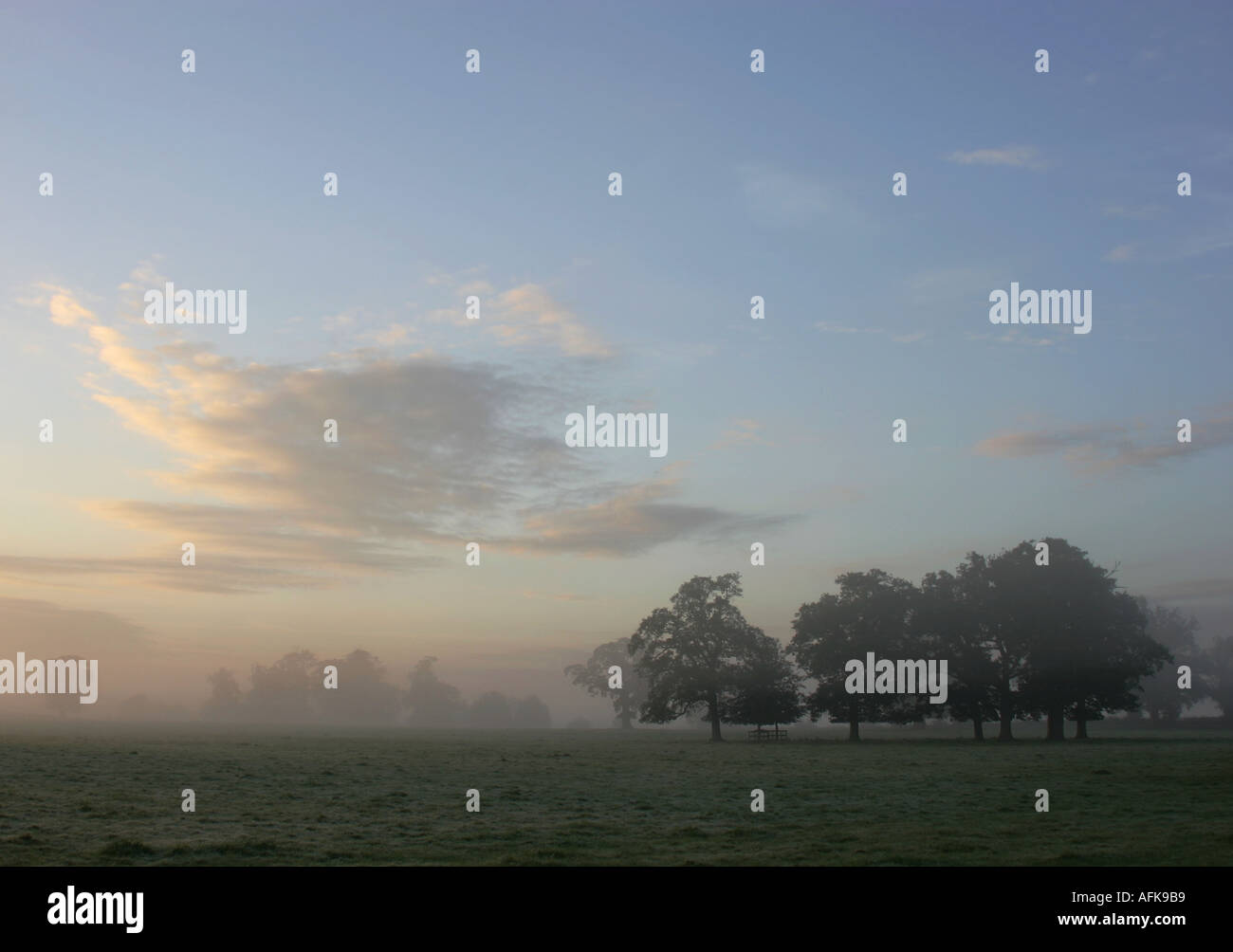 Mist Field Norfolk England High Resolution Stock Photography and Images ...